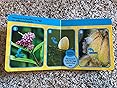 Amazon.com: National Geographic Kids Look and Learn: Caterpillar to ...