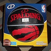 Spalding Toronto Raptors Courtside Rubber Outdoor Basketball, Size 7/29 ...