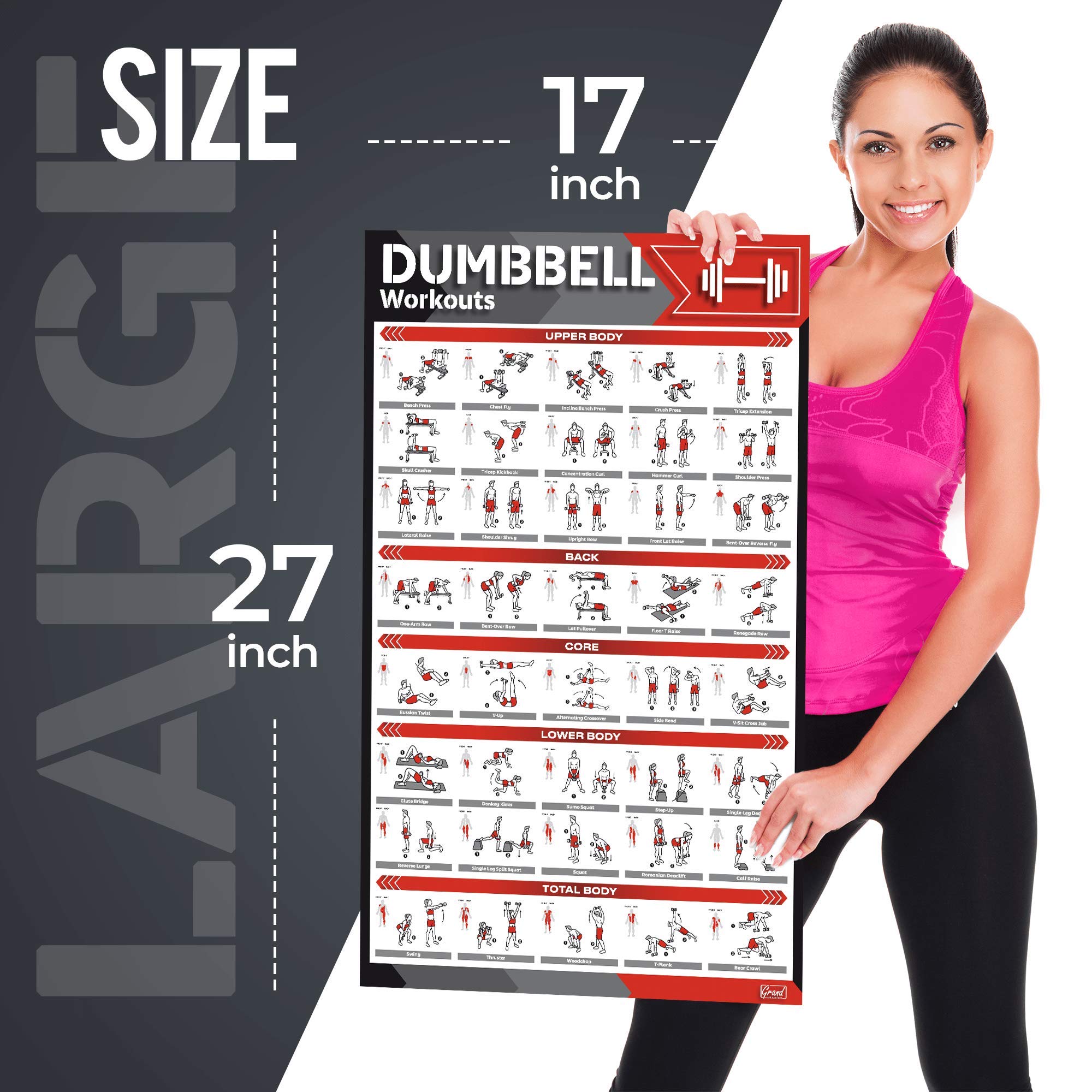 12 Pack Laminated Large Workout Poster Set Perfect Workout Posters ...