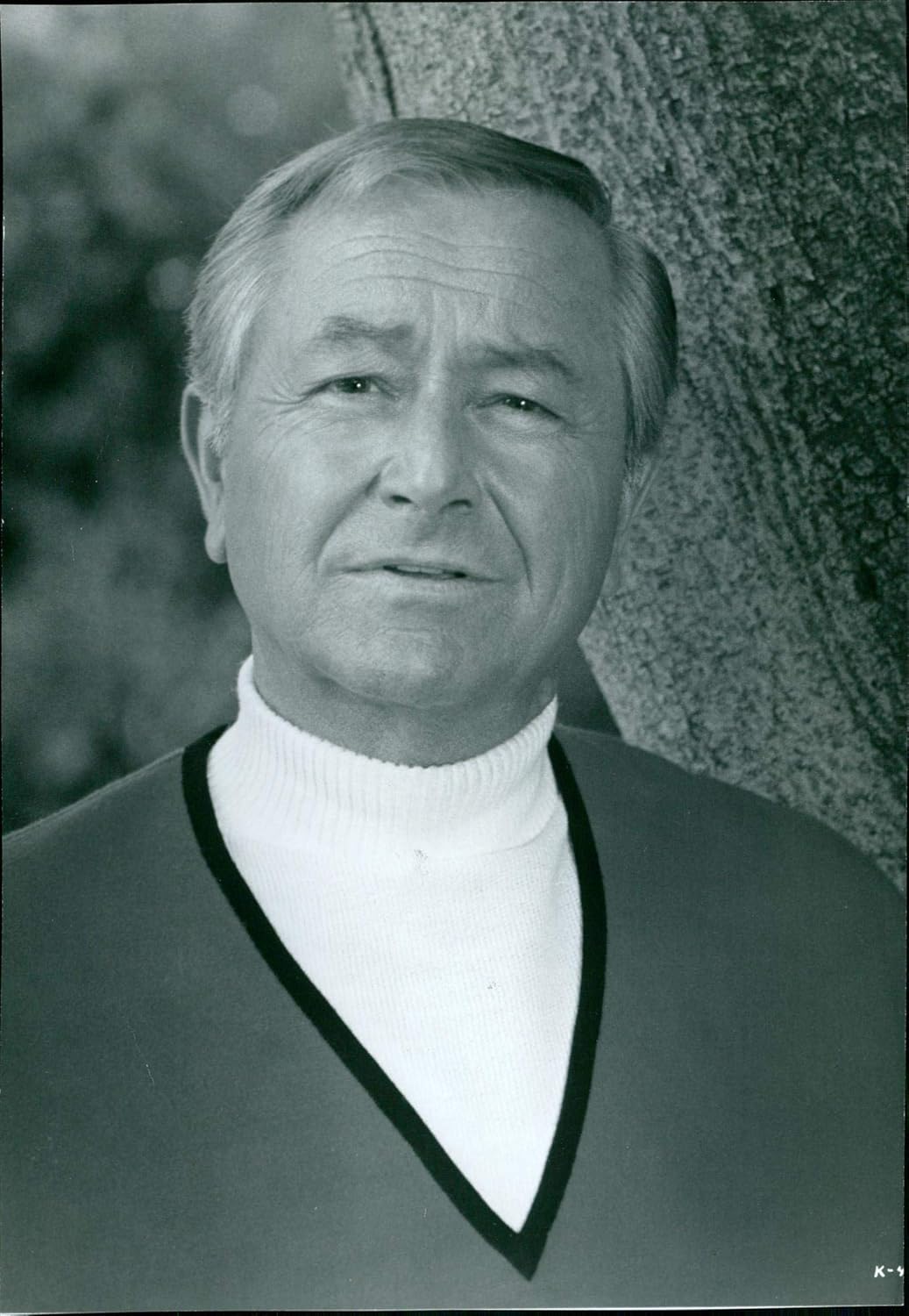 Amazon.com: Vintage photo of Robert Young (actor): Entertainment ...