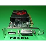 Amazon.com: Dell AMD Radeon R5 240 1GB DDR3 DVI/ D-Port Video Card ...