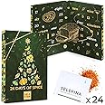 Amazon.com: Spice Advent Calendar - Christmas Countdown with 24 Sample ...