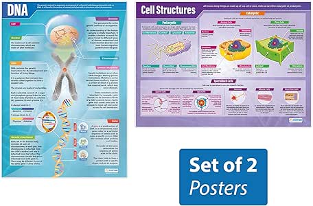 Amazon.com : DNA and Cell Structure Posters - Set of 2 | Science ...