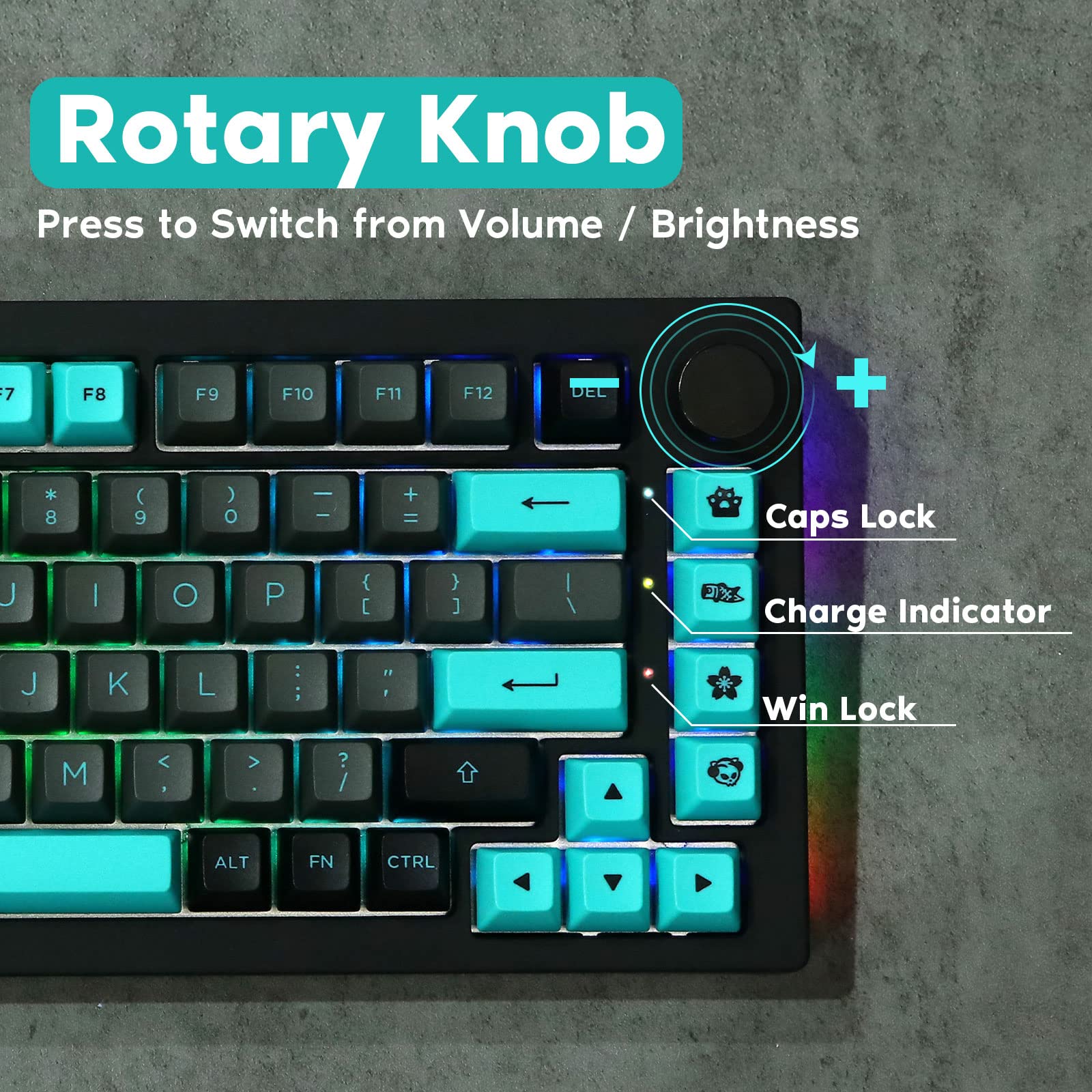 Mua EPOMAKER AKKO 5075B Plus Gasket Hot Swap Mechanical Gaming Keyboard, 2.4GHz/Bluetooth 5.0 ...