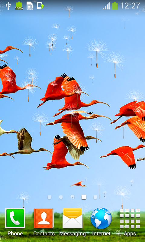 Birds Live Wallpapers:Amazon.com:Appstore for Android