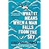 Amazon.com: What It Means When a Man Falls from the Sky: Stories ...