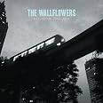 The Wallflowers - Collected: 1996-2005 - Amazon.com Music