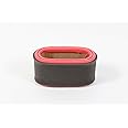 Amazon.com: Rotary Air Filter Fits Toro 127-9193 Timecutter SS3200 ...