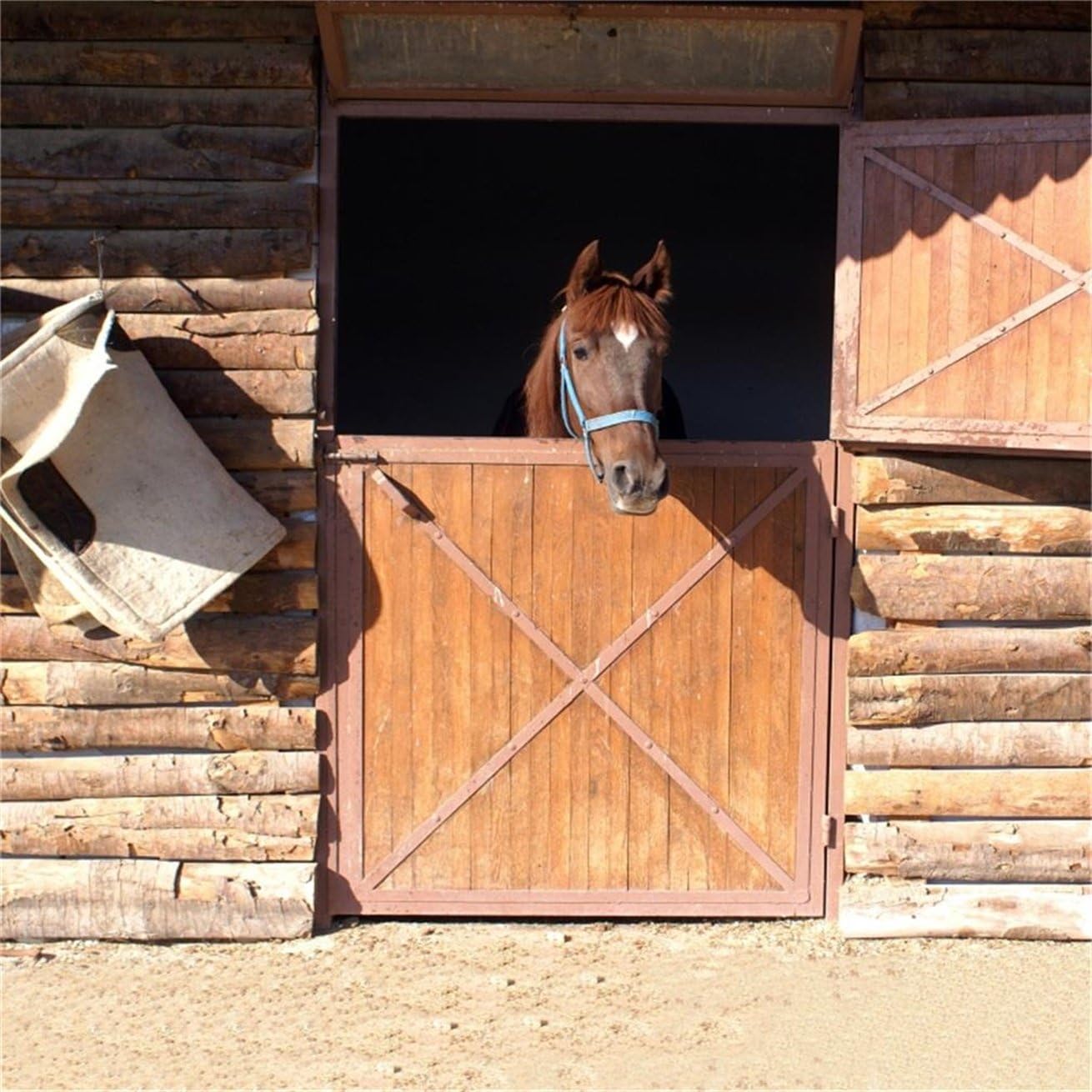 Amazon.com : AOFOTO 8x8ft Horses in Stable Shed Backdrop Old-Fashioned ...
