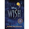 Disney Wish: The Deluxe Junior Novelization: Falligant, Erin: 9780736444064: Amazon.com: Books