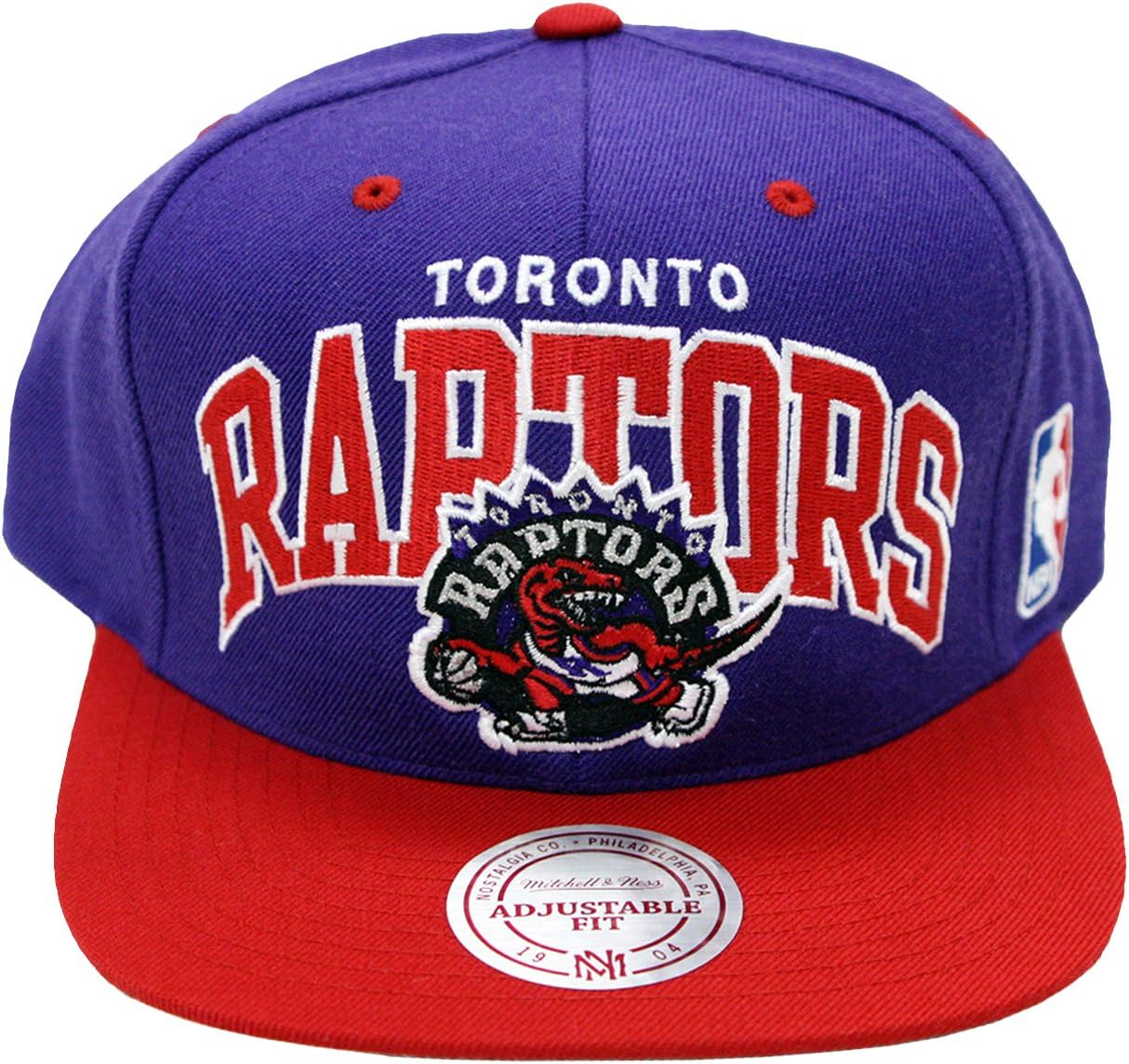 Amazon.com : Toronto Raptors M&N Hardwood Classics Team Arch 2-Tone ...