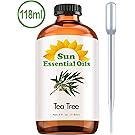 Amazon.com: Ginger (Large 4 Ounce) Best Essential Oil: Health ...