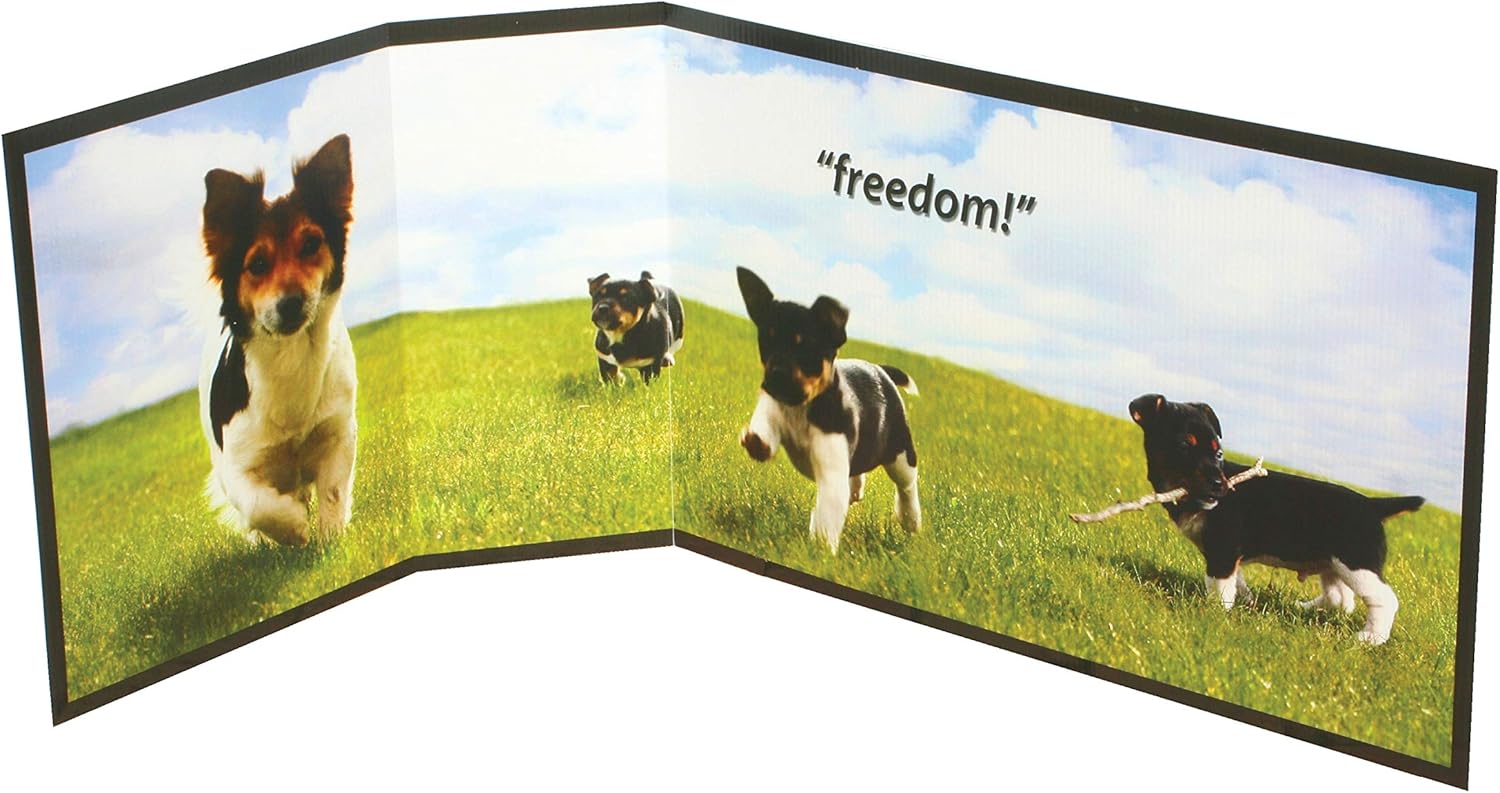 PetSafe Piddle Place Guard Freedom, Splash Protection, Toilet Training ...
