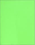 Amazon.com : 100 Label Outfitters Full Sheet Fluorescent Neon Green ...