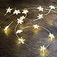 Amazon.com : Primitives by Kathy Submergible Copper Wire String Lights ...