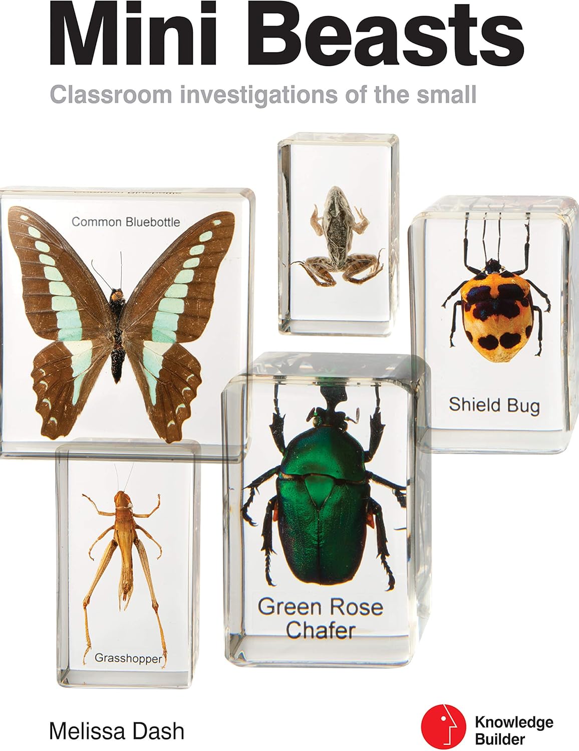 Mini Beast Book – BigaMart