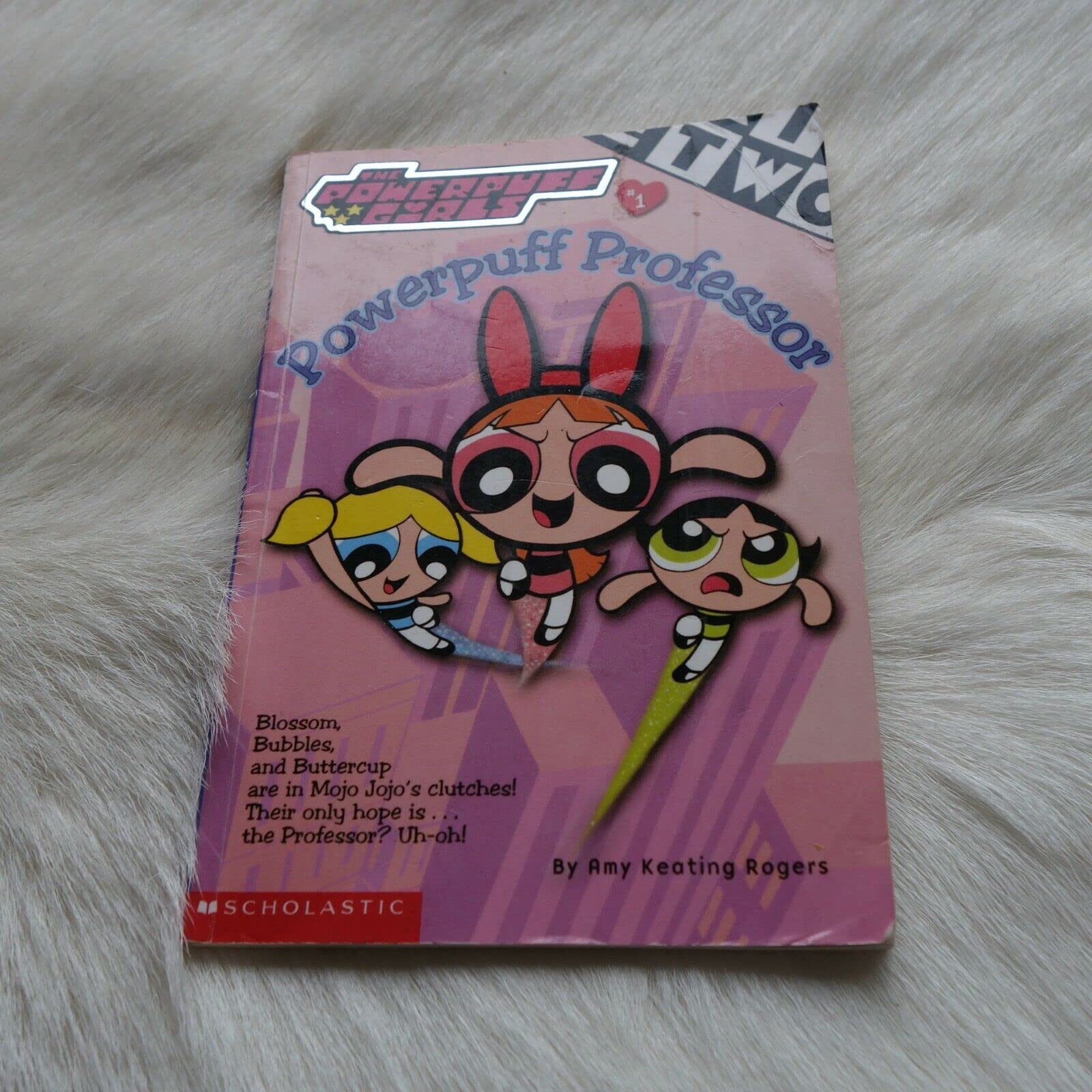Mua Powerpuff Professor (Powerpuff Girls Chapter Book) trên Amazon Đức ...