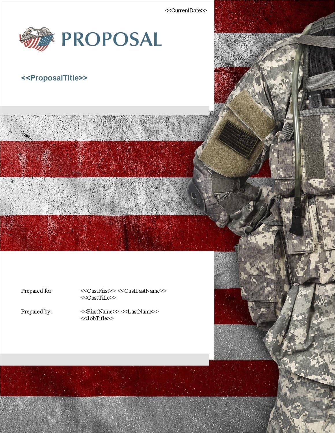 Amazon.com: Proposal Pack Military #5 - Business Proposals, Plans ...