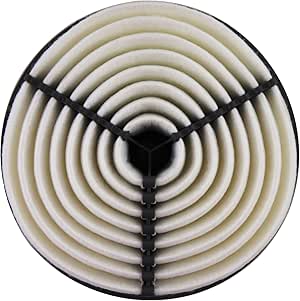 Amazon.com: Toyota Genuine Parts 17801-70020-83 Air Filter: Automotive