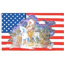 Original Aim Flag