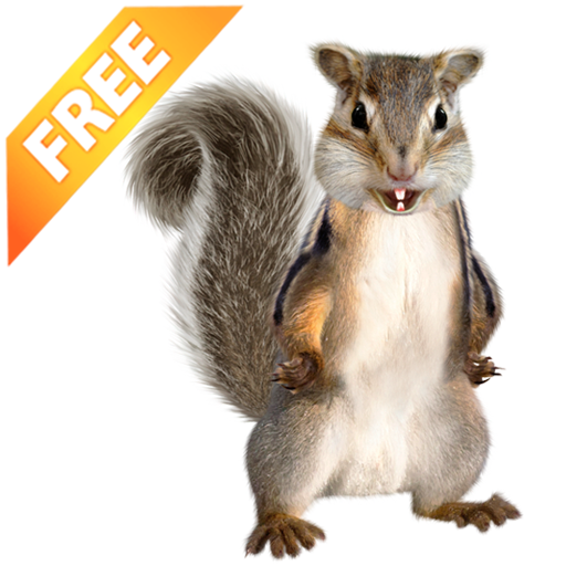 Real Talking Squirrel:Amazon.com:Appstore for Android