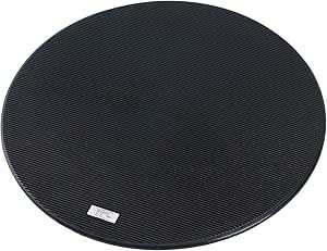 Amazon.com: YPC Transfer Disc, Pivot Disc for Transfers, Weight ...