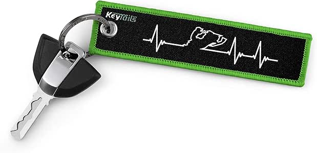 Amazon.com: KEYTAILS Keychains, Premium Quality Key Tag for Snowmobile ...
