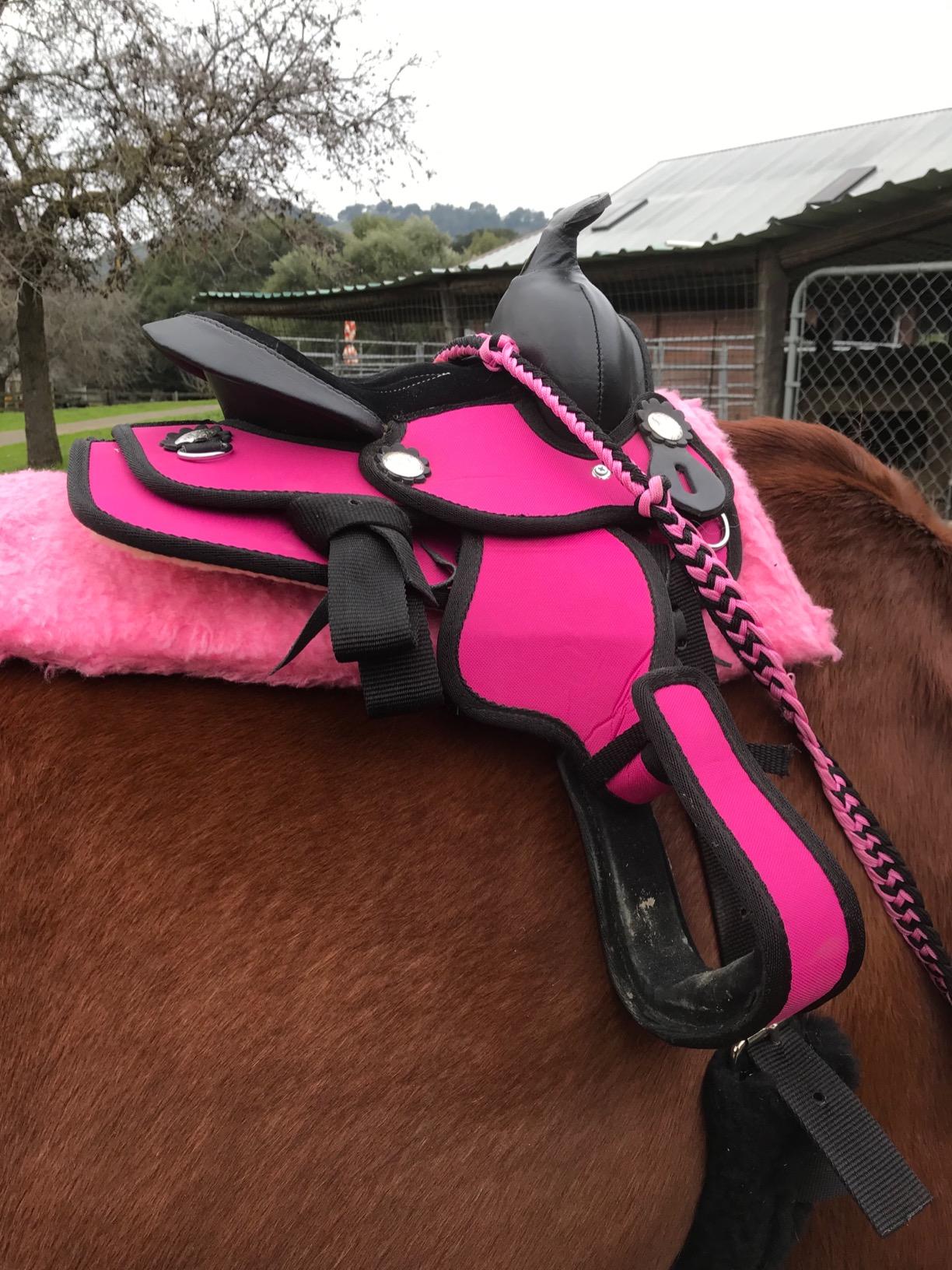 $7/mo - Finance Tough 1 Miniature Western Fleece Pad | Buy Now, Pay Later