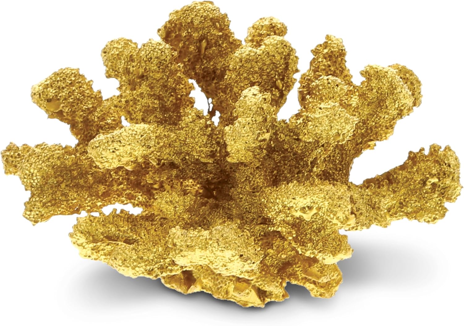 I hope the corona doesn’t mess with my beloved Golden Coral > General ...