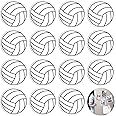 Amazon.com: Shappy 16 Pieces Volleyball Refrigerator Magnet Volleyball ...