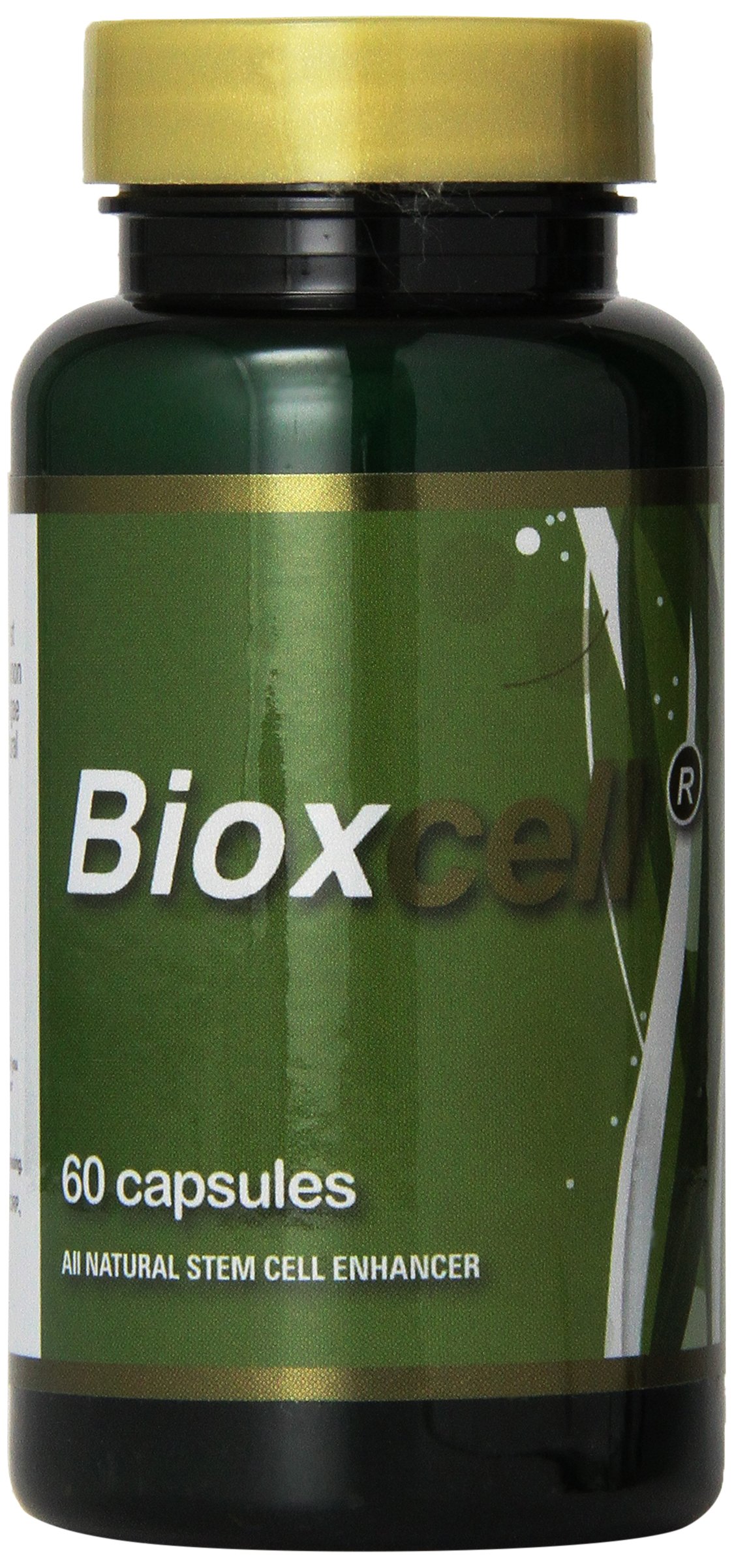 Amazon.com: Celulas Madres 8 Botellas: Health & Personal Care