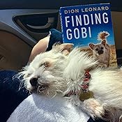 Finding Gobi: A Little Dog with a Very Big Heart: Dion Leonard, Craig ...