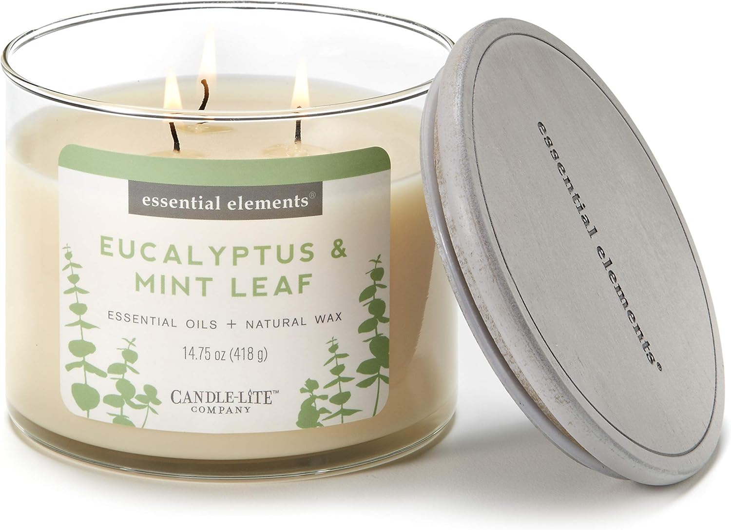 Amazon.com: Essential Elements by Candle-Lite Scented Eucaltyptus ...
