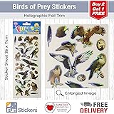 RSPB Birds of Prey Ultimate Sticker Book Ultimate Stickers: Amazon.co ...