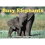 Elephants: A Book for Children: Bloom, Steve, Wilson, David Henry ...