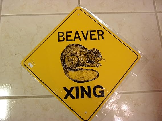Amazon.com: Beaver Aluminum Novelty Sign Beaver Xing (Crossing) Sign ...