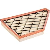 Amazon.com: ACDelco GM Original Equipment A3223C Air Filter : Automotive