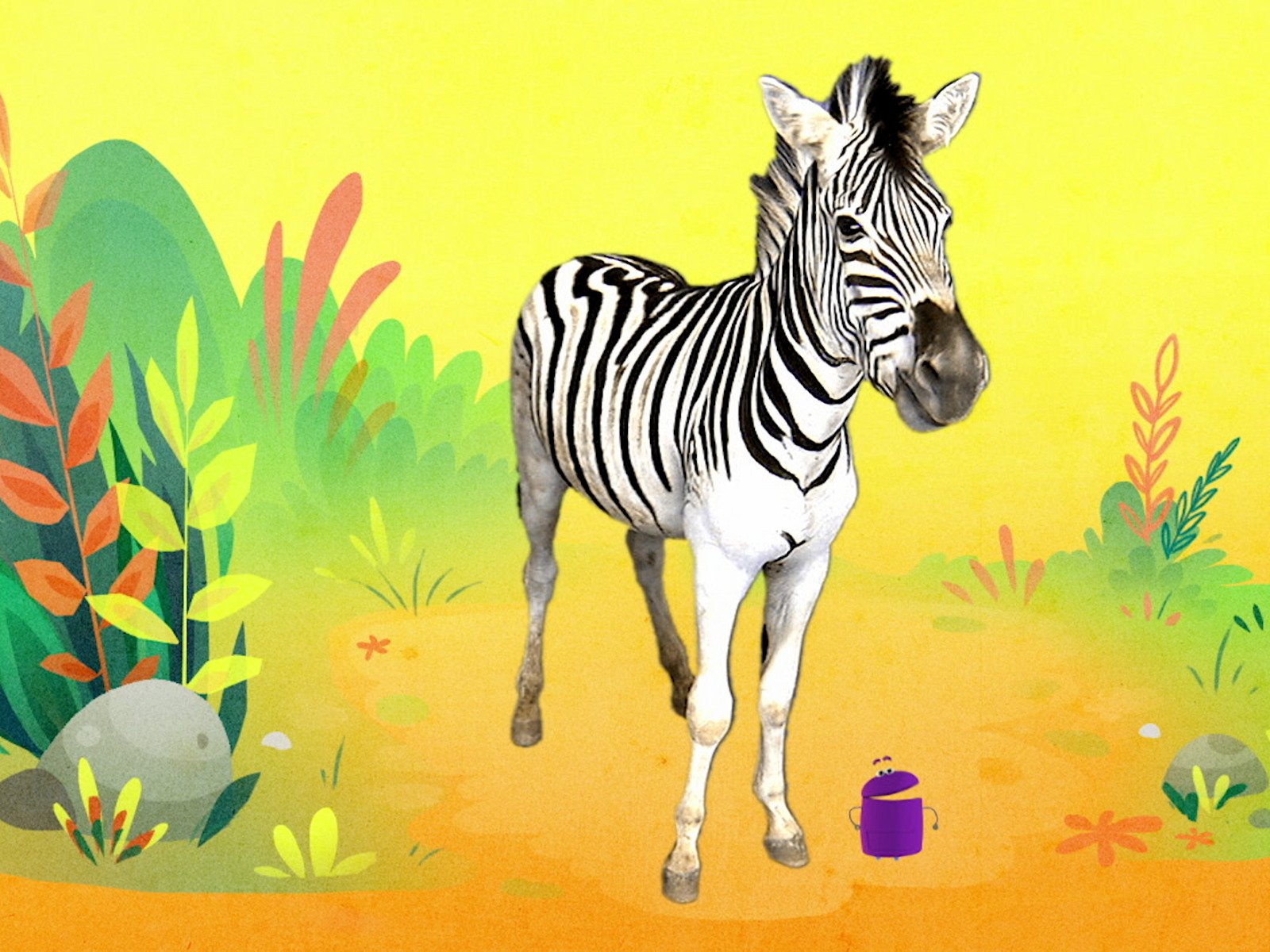 Watch Storybots | Prime Video