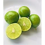 Amazon.com: Melissa's Fresh Key Limes, (5 Lb) : Grocery & Gourmet Food