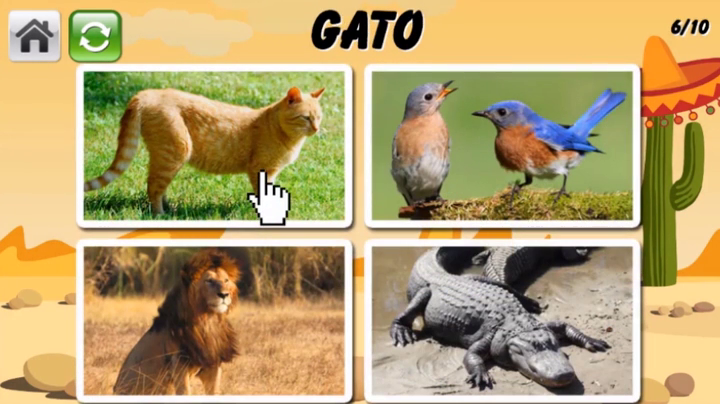 Learn Spanish Words 1: Vocabulary Flash Cards Game for Beginners - App ...