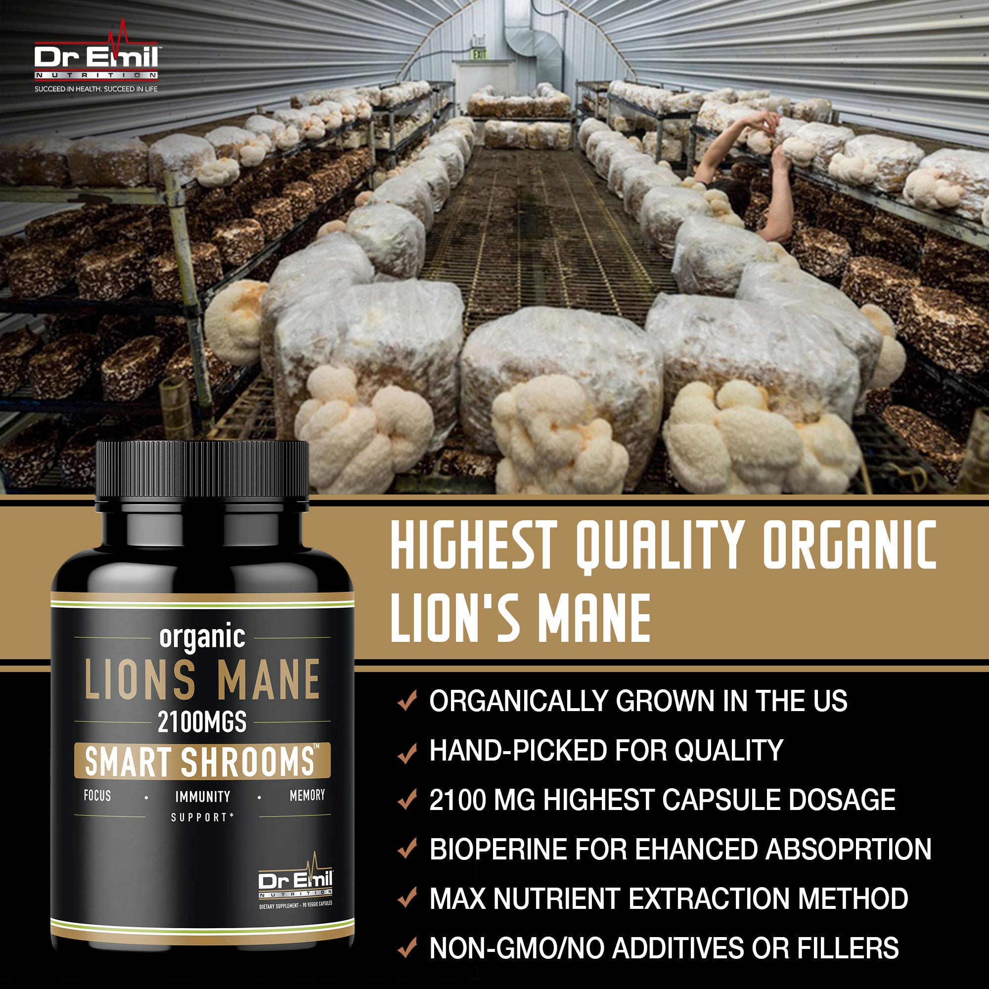 Organic Lions Mane Mushroom Supplement for Mental Clarity, Focus ...