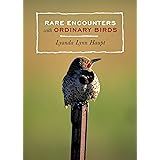 Rare Encounters with Ordinary Birds: Notes from a Northwest Year: Haupt ...