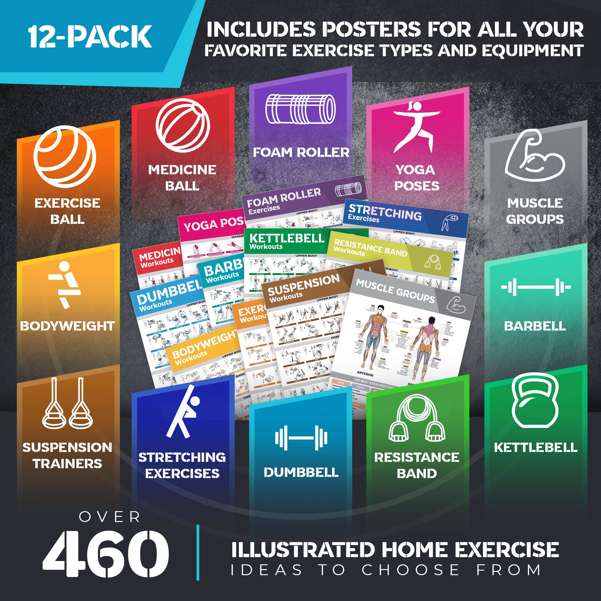 Mua [12-PACK] Laminated Large Workout Poster Set - Perfect Workout ...