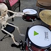 Amazon.com: Crazy Bonez Posable Skeleton Decoration, 36": Toys & Games