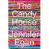 The Heirs: A Novel: Rieger, Susan: 9781101904718: Amazon.com: Books