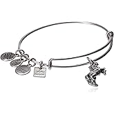 Amazon.com: Alex and Ani Women's Color Infusion Mermaid Charm Bangle Bracelet, Rafaelian Silver ...