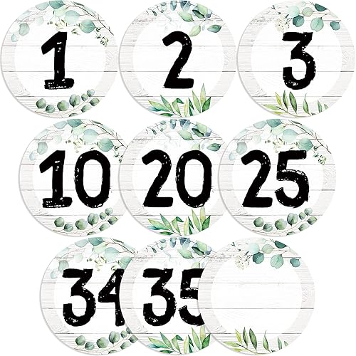 Chinco 40 Pieces Eucalyptus Laminated Numbers Cutouts for Classroom ...