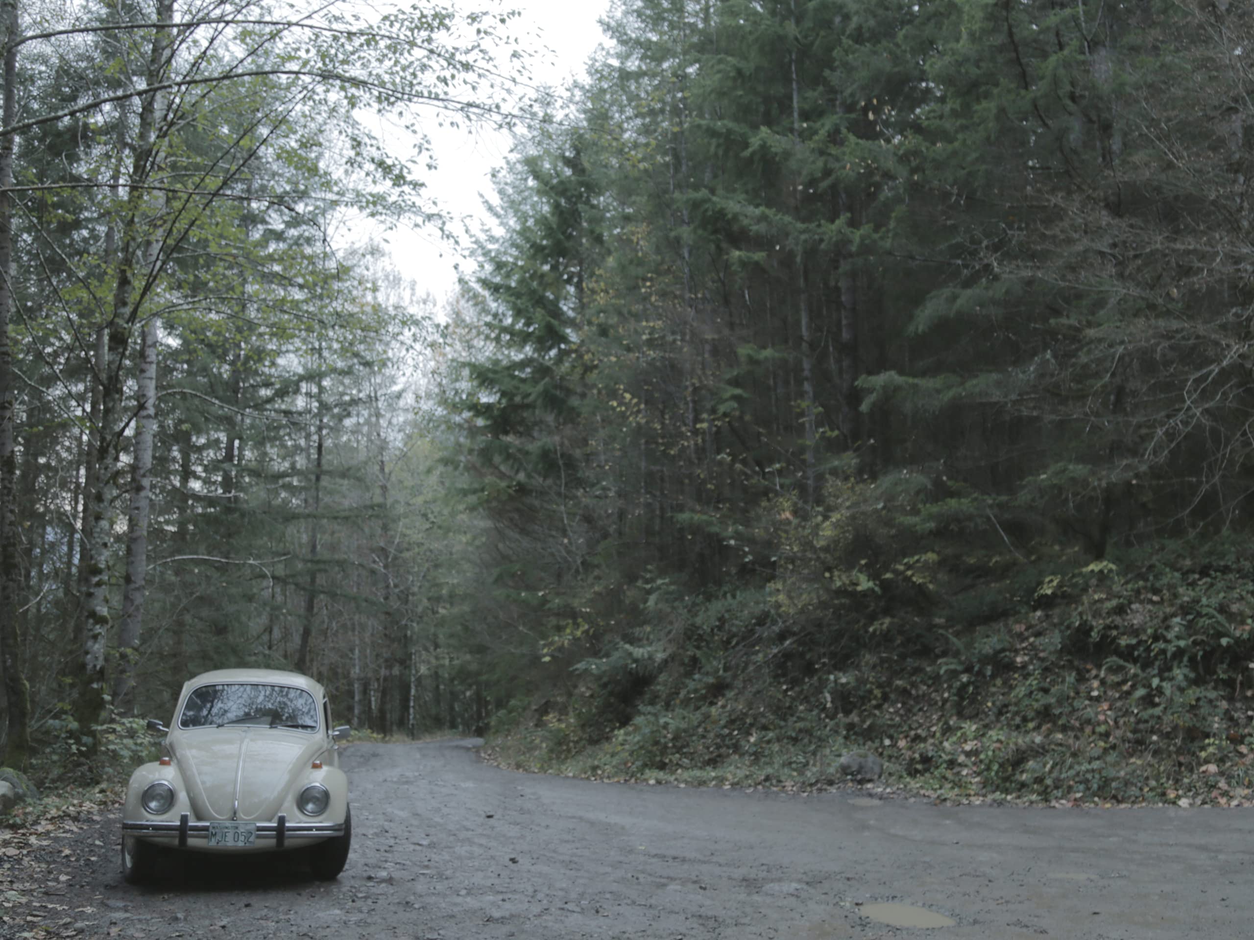 Watch Ted Bundy: Mind Of A Monster - Season 1 | Prime Video