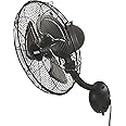 Amazon.com: Ironton Oscillating Wall-Mount Garage Fan - 14in., 2200 CFM ...