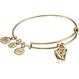Amazon.com: Alex and Ani Conch Shell II EWB, Rafaelian Gold Bangle Bracelet: Clothing, Shoes ...